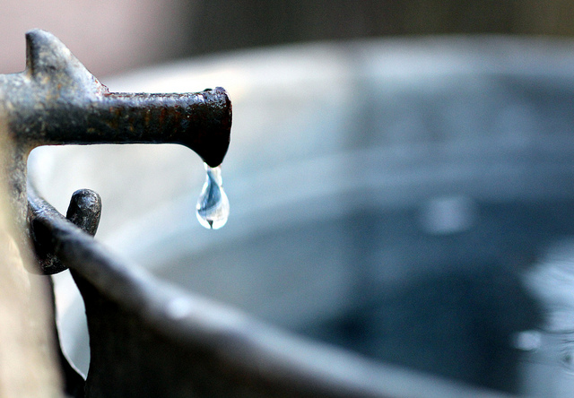 Harvesting Maple Sap for Syrup: 3 Steps – Aquaberry Bliss